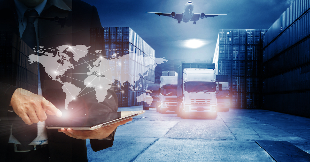 Siamo Temporary Export Manager - Making Science